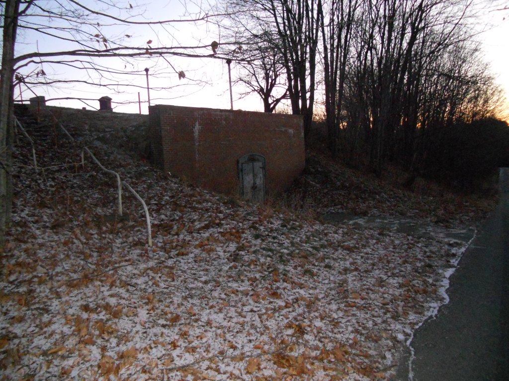 The Surprise Garden | Julie-Ann Baumer