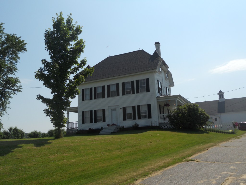 Talk of the Toile – Show House Potential | Julie-Ann Baumer