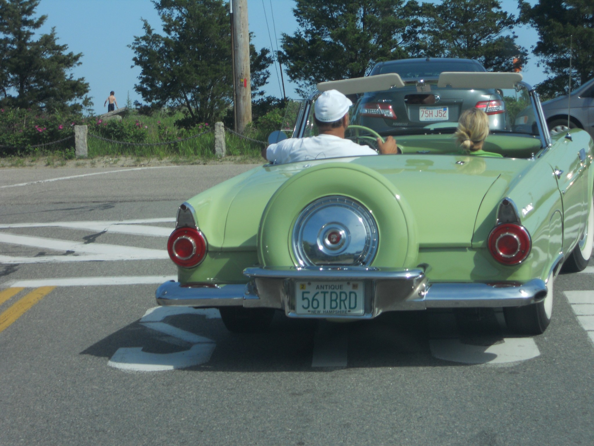 Talk of the Toile – The Chicken Coop Tour | Julie-Ann Baumer