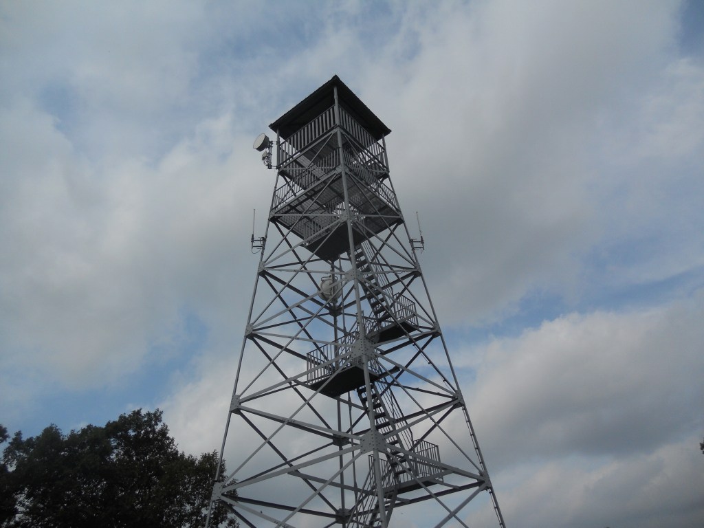 Silver and Gold | Julie-Ann Baumer