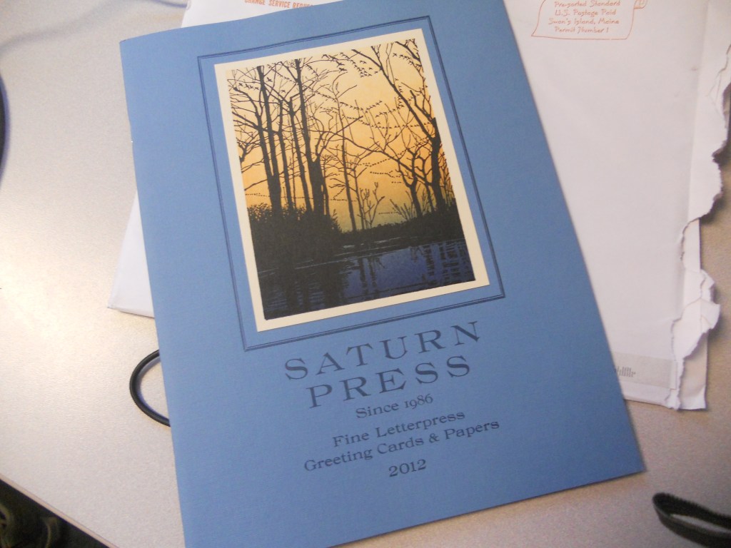 Built to Last | Julie-Ann Baumer