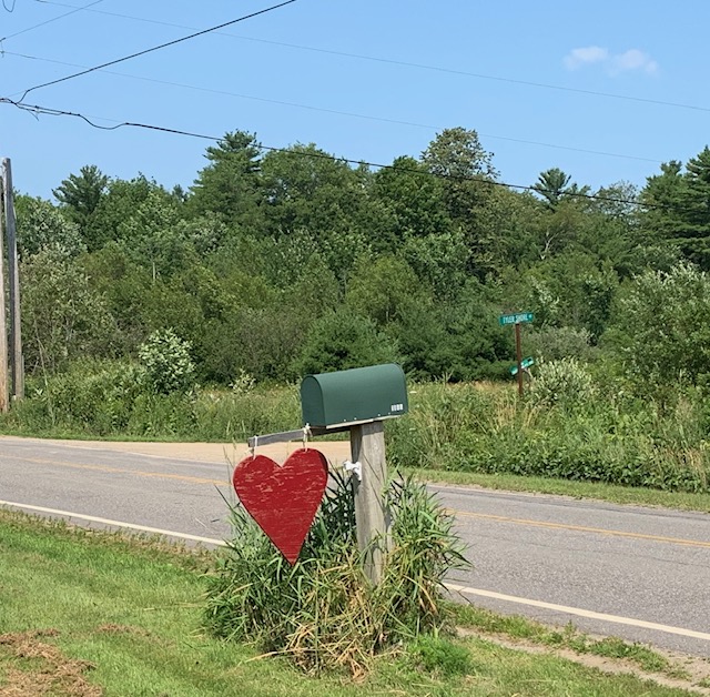 Finding Wild Miller Farm | Julie-Ann Baumer